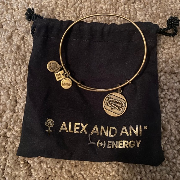 Alex and Ani | Jewelry | Alex Ani Completely Blessed Bracelet | Poshmark